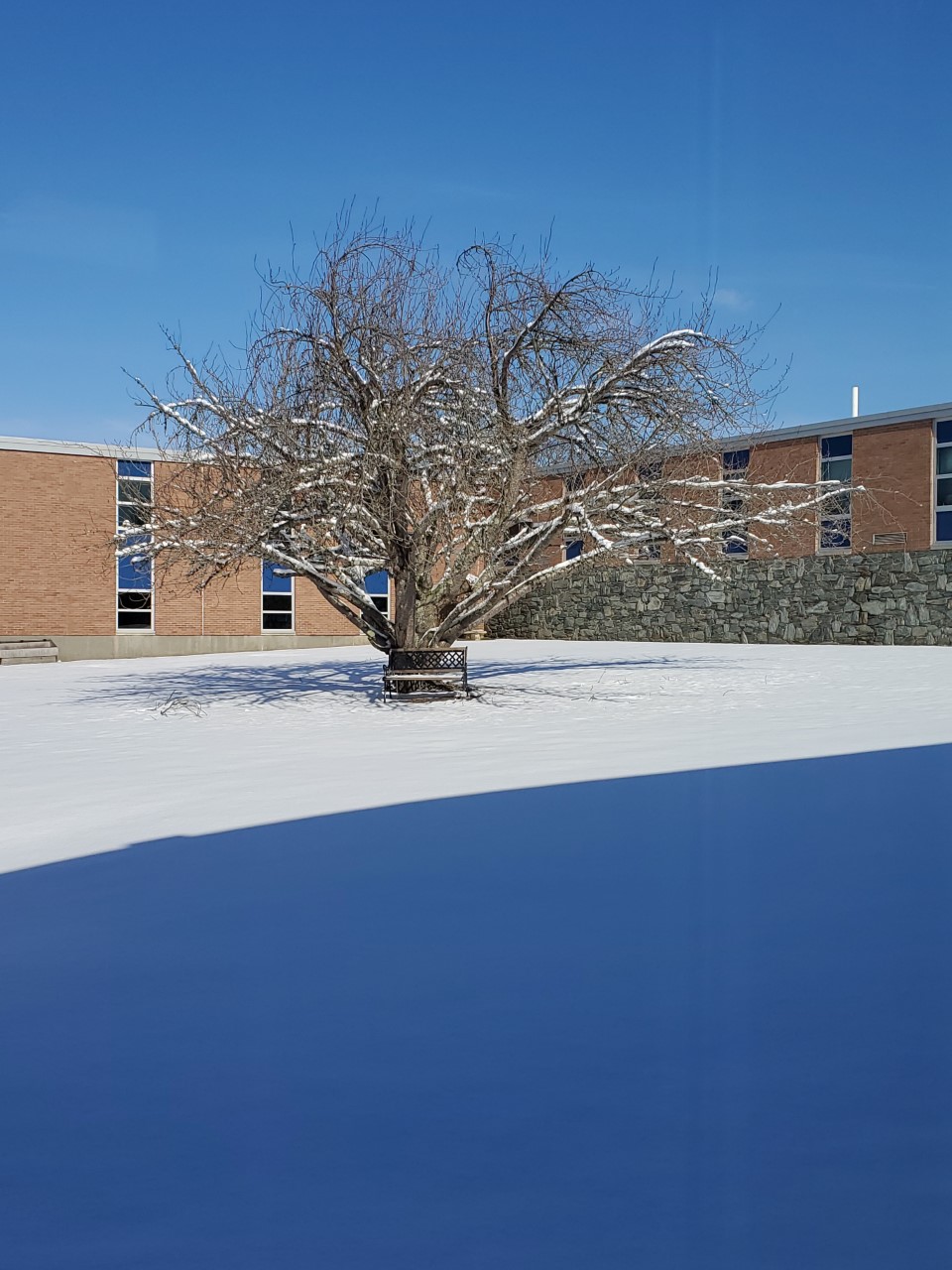 Joseph H. Gaudet Middle School & Learning Academy | Ensuring Success ...