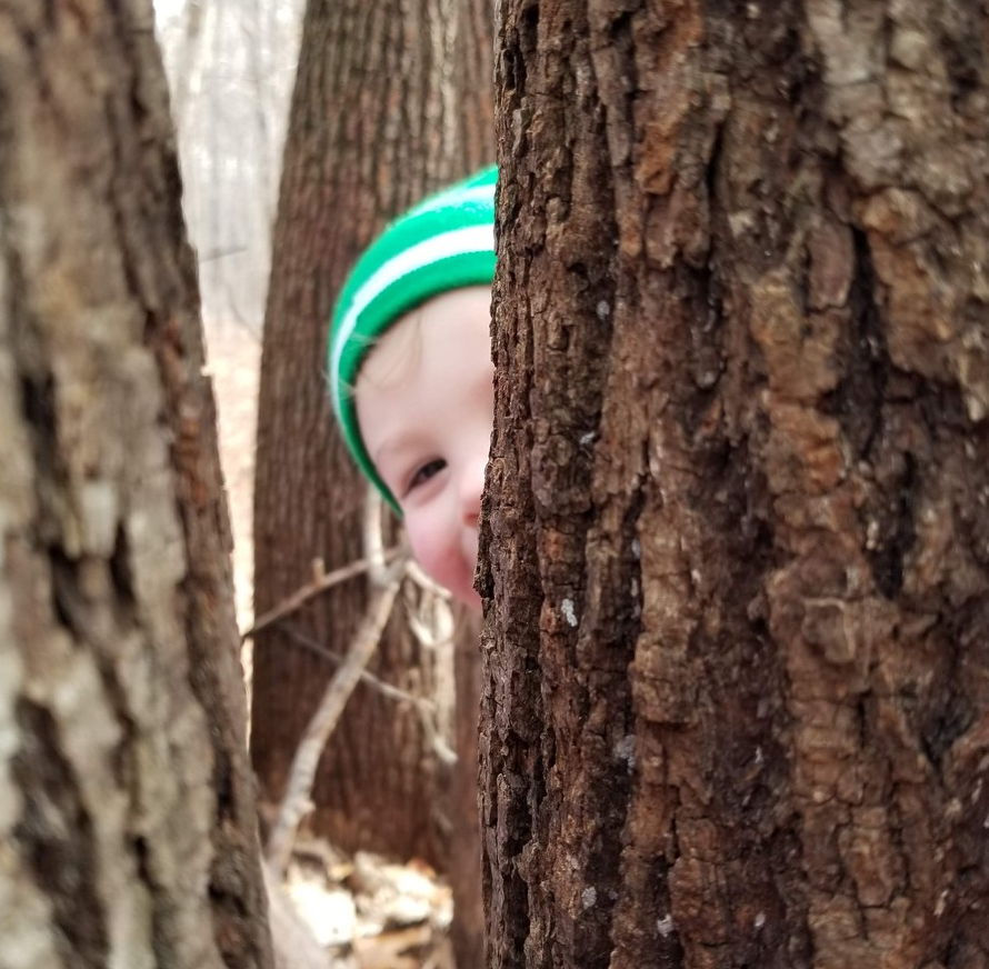 Curriculum | Kickapoo Valley Forest School