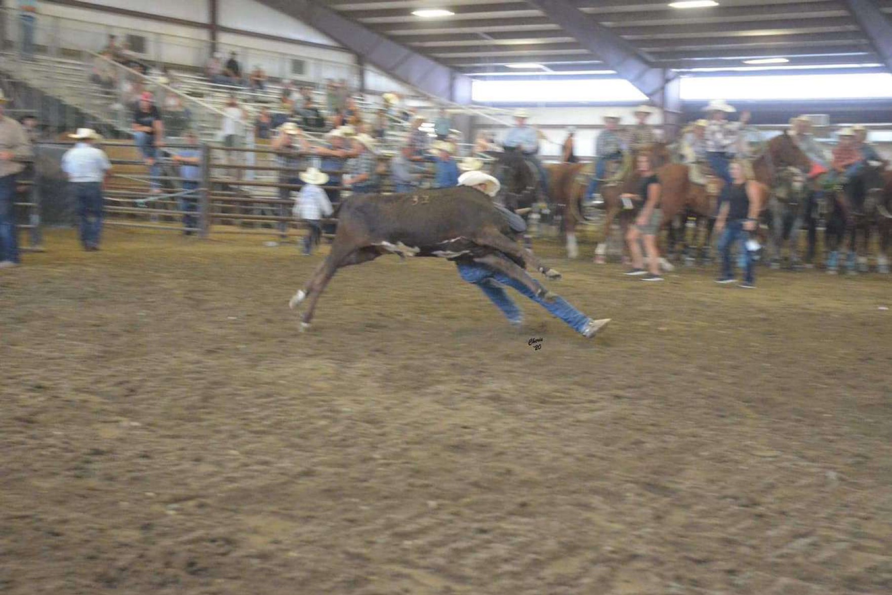 Athletics Pictures | Spray School District