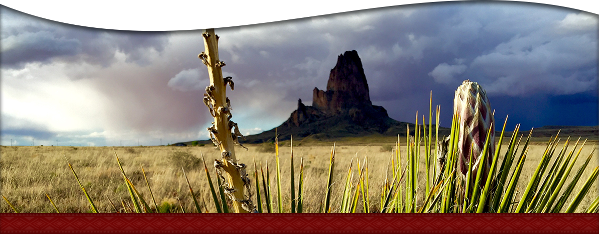 Kayenta Unified School District | Home